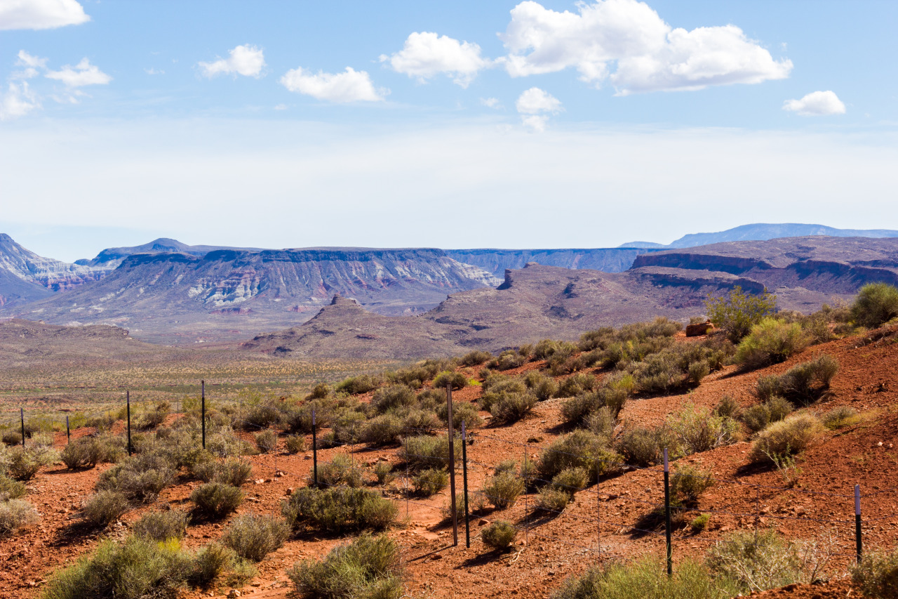 Colors of Utah – HighlandWolf